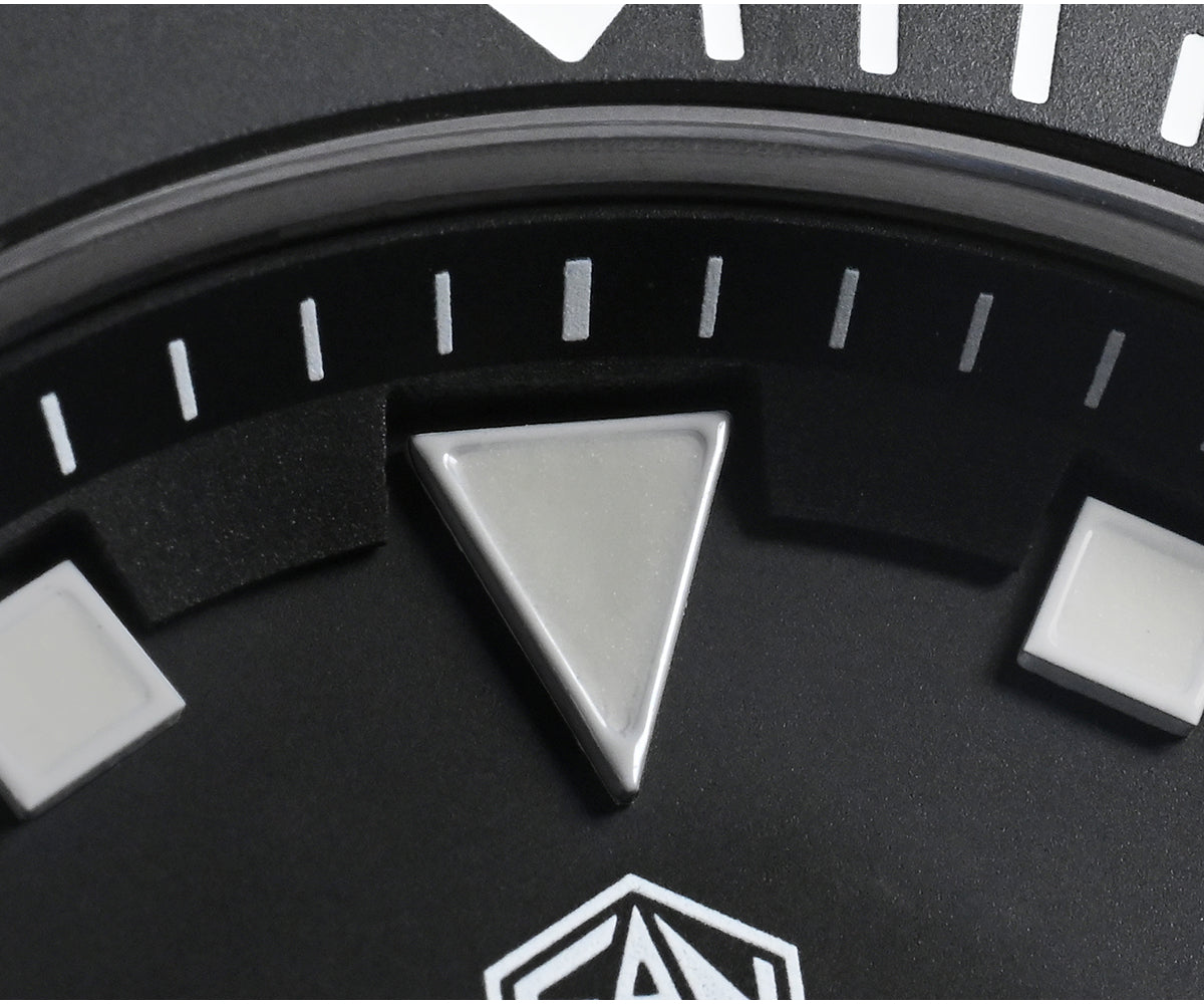 San Martin Titanium 39mm Dive Watch SN0121T-GA – WatchZest